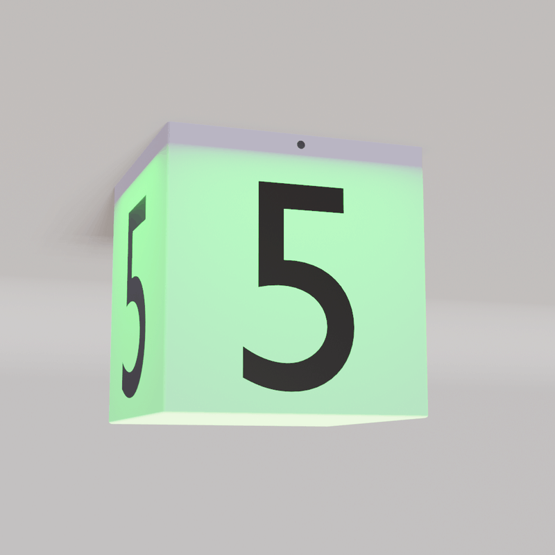 Snake Queue Management Service Systems